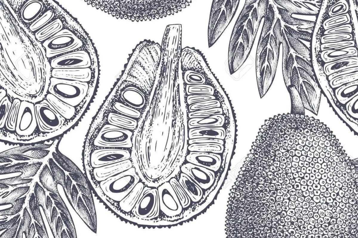 Taller de grabado botánico - Museo de Arte Moderno de Medellín