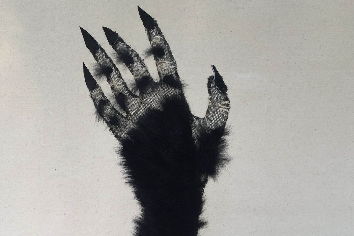 La mano pelúa. Taller con Mediadores MAMM - Museo de Arte Moderno de Medellín