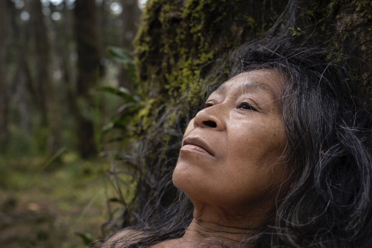 Diòba - Museo de Arte Moderno de Medellín