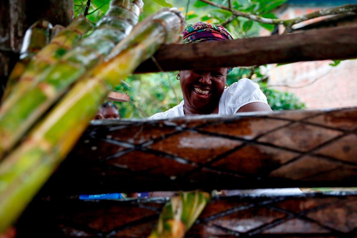 De lo sabroso a lo espirituoso. Conversación sobre el viche - Museo de ...